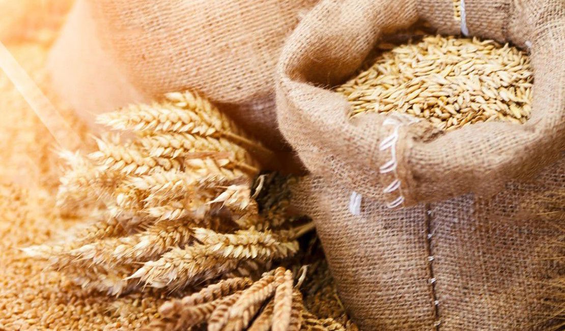 Espelta y sus Beneficios Comprar | Doctora Santa Hildegarda